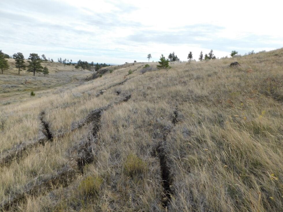 Signal Peak/Bull Mountains Coal Mine Subsidence - Western Environmental ...